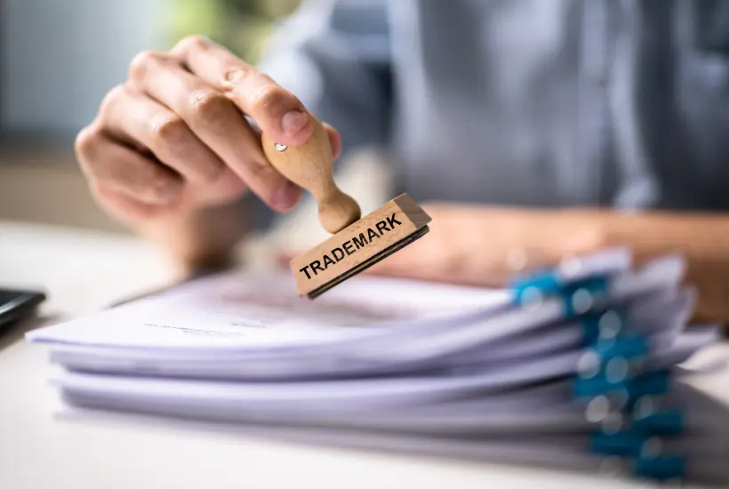 Company Financial Statements - A Basic Guide for